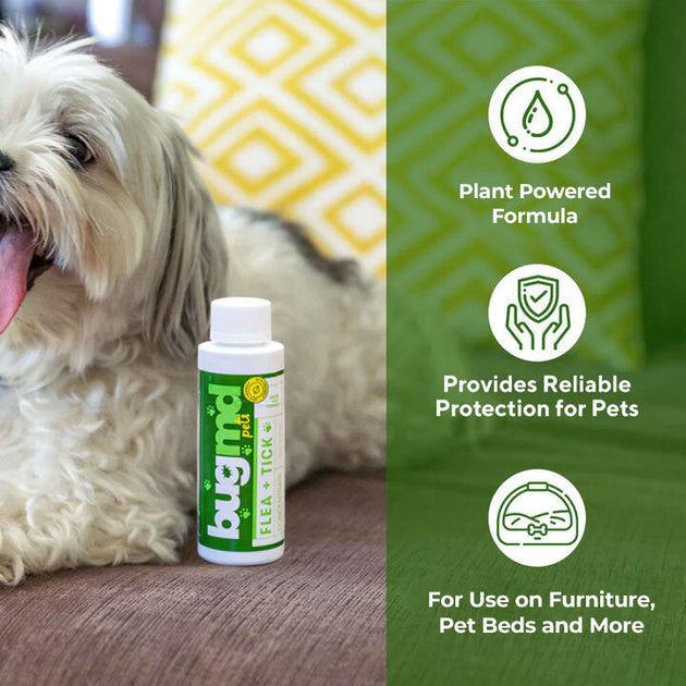 Exclusive Offer of Flea + Tick Concentrate – bugmd