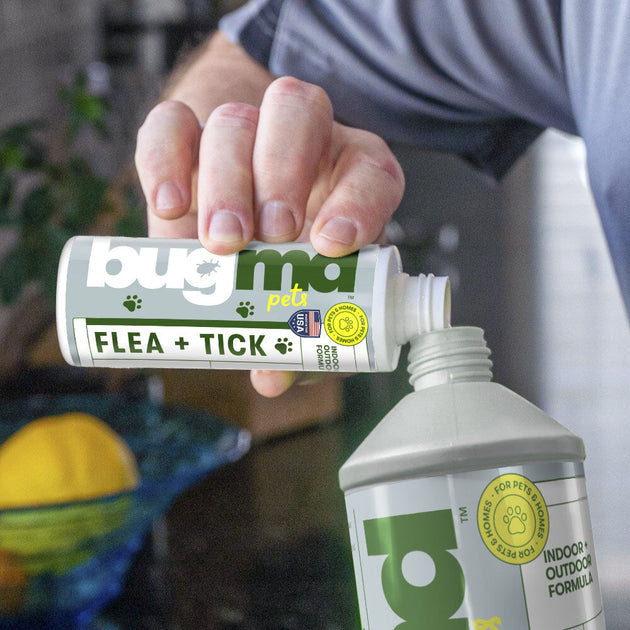 BugMD Flea + Tick Control | Plant Powered Pest Solution for Pets – bugmd