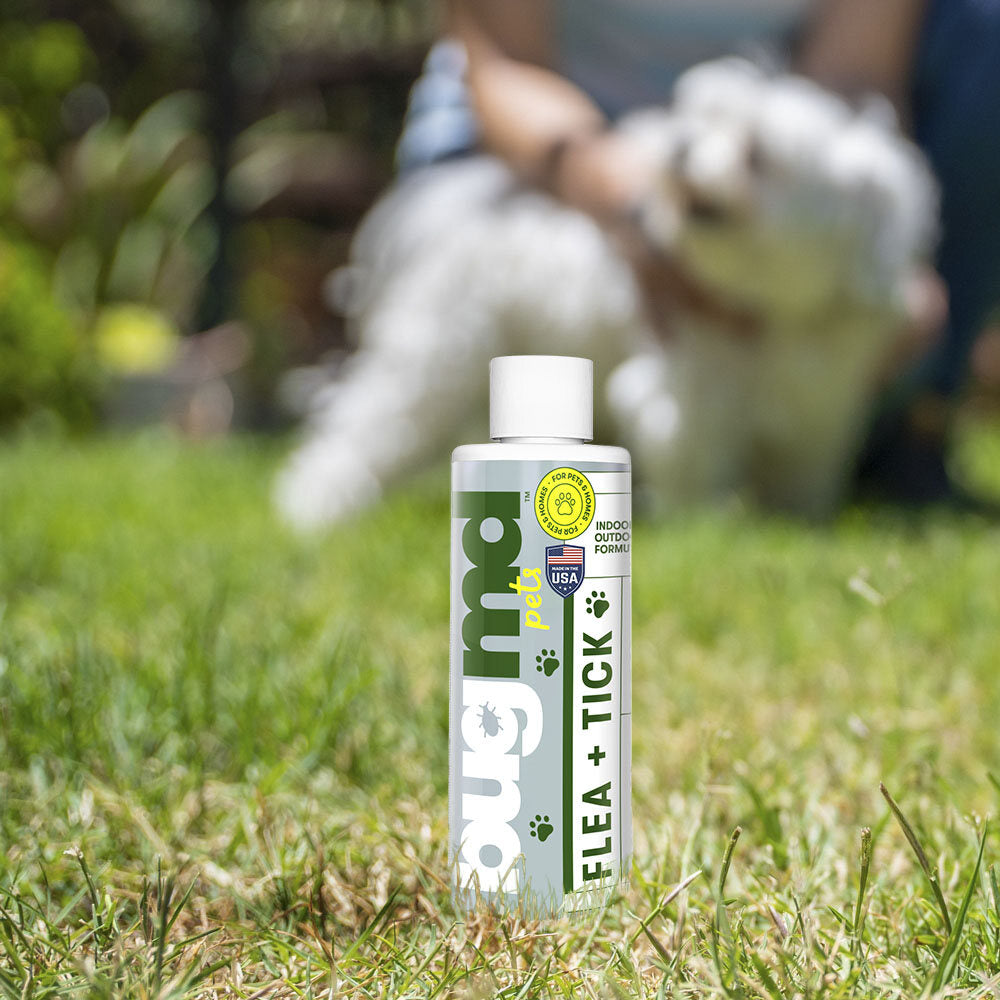 BugMD Flea + Tick Control | Plant Powered Pest Solution for Pets – bugmd