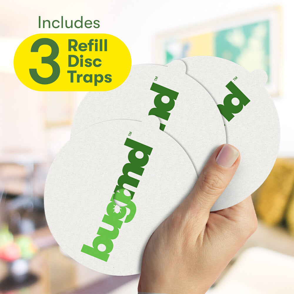 Pest Trapper Refill Pack – bugmd