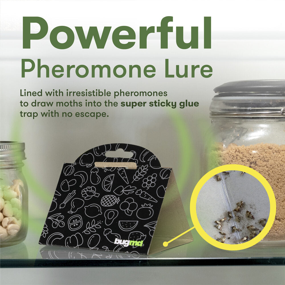 BugMD Pantry Pest Patrol | Pheromone & PermaGlue Moth Traps – bugmd