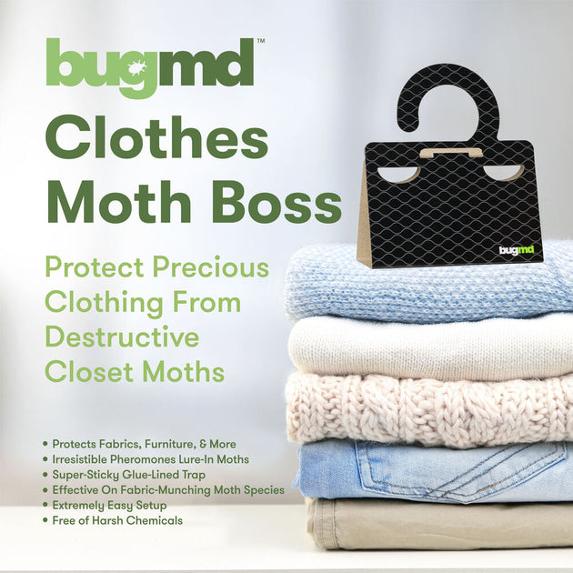 BugMD Clothes Moth Boss | Pheromone PermaGlue Moth Traps – bugmd