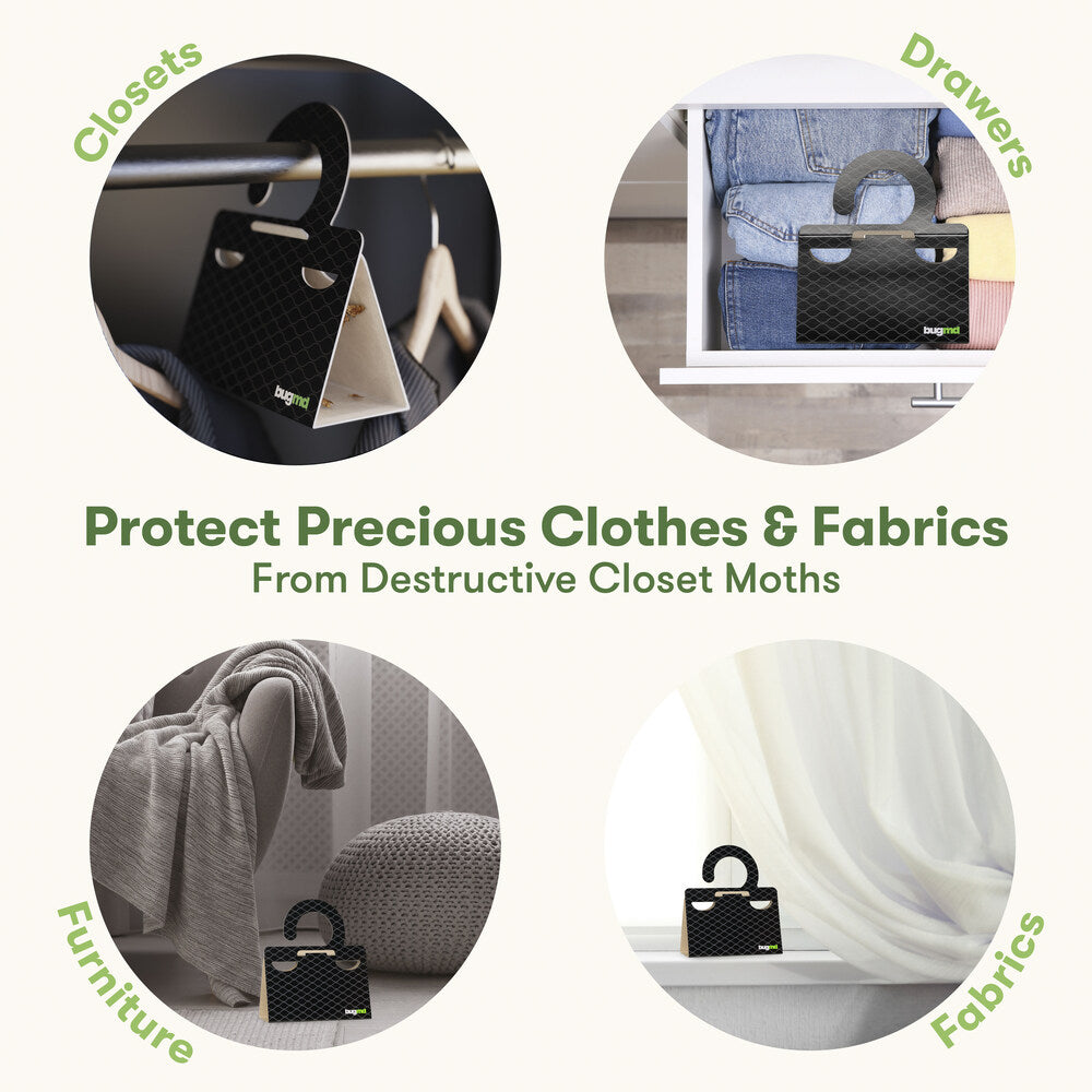 BugMD Clothes Moth Boss | Pheromone PermaGlue Moth Traps – bugmd