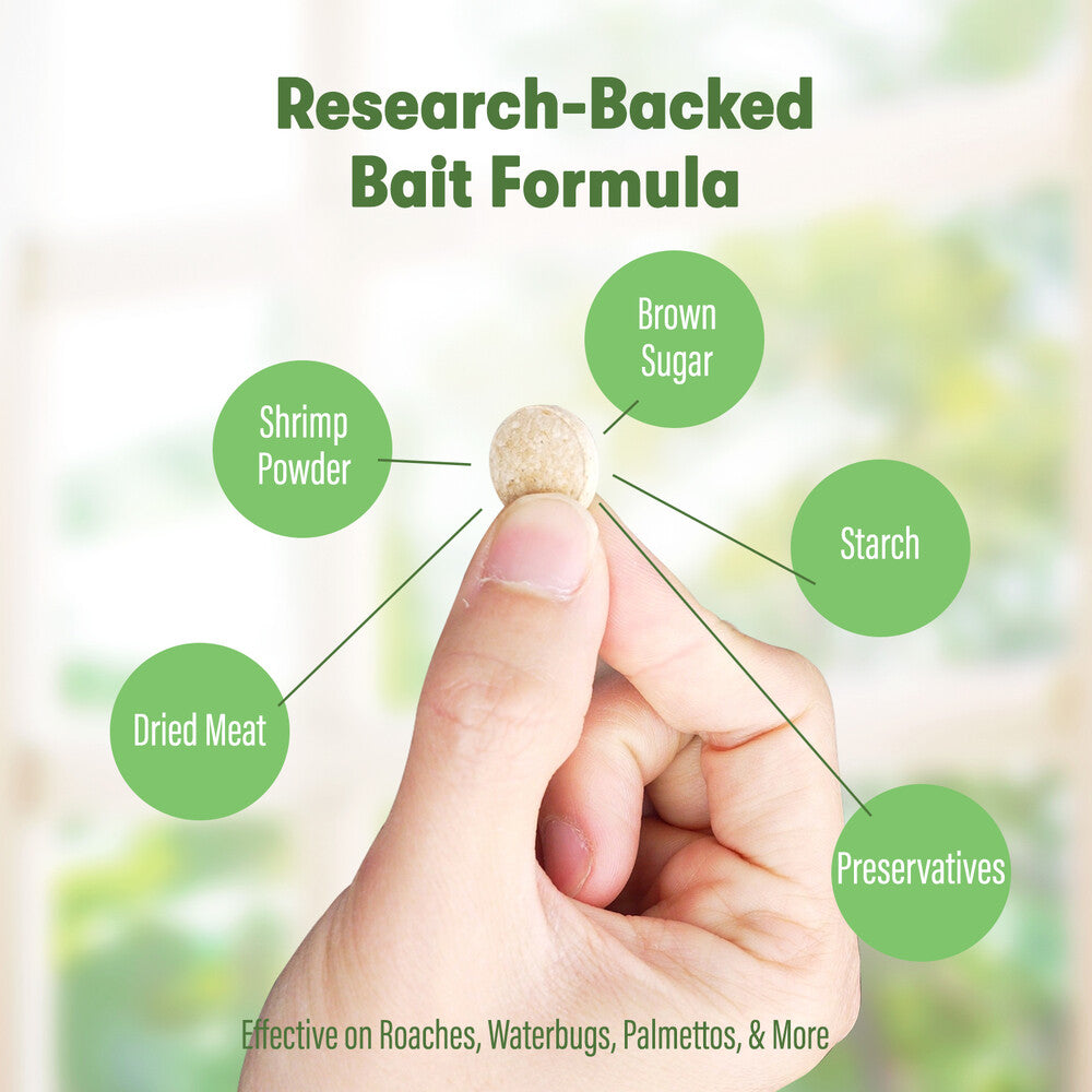 Cockroach Catcher – bugmd