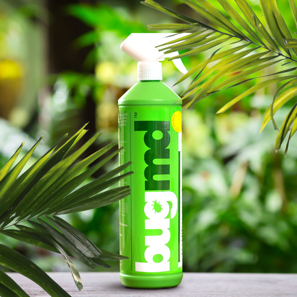 BugMD Essential Pest Control 32 Ounce Spray Bottle (Empty) – bugmd