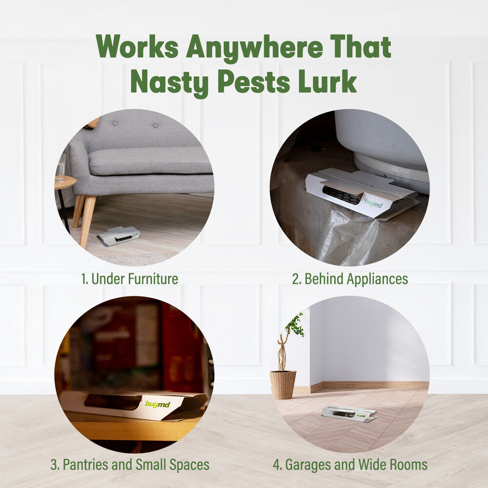 Cockroach Catcher – bugmd