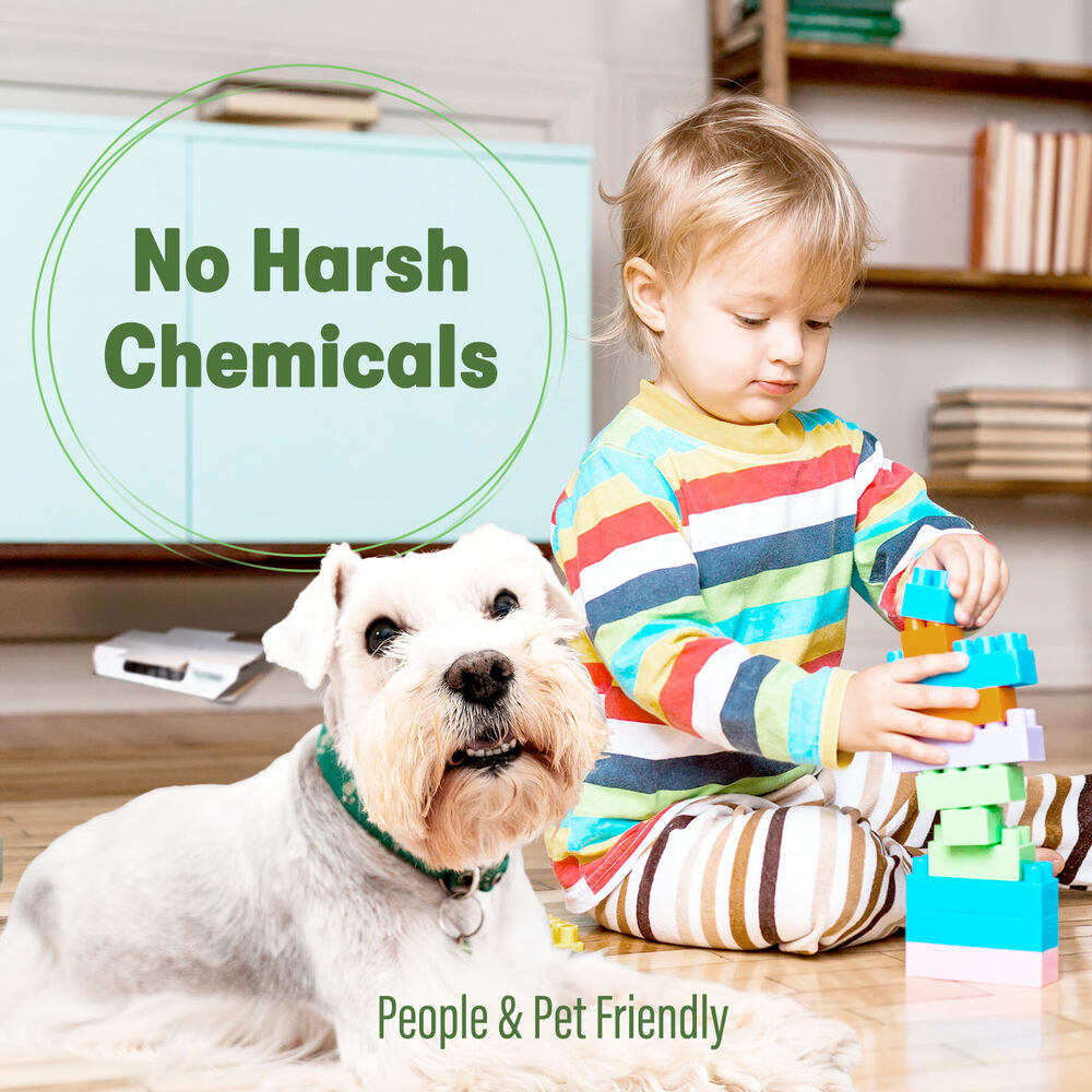 Cockroach Catcher – bugmd