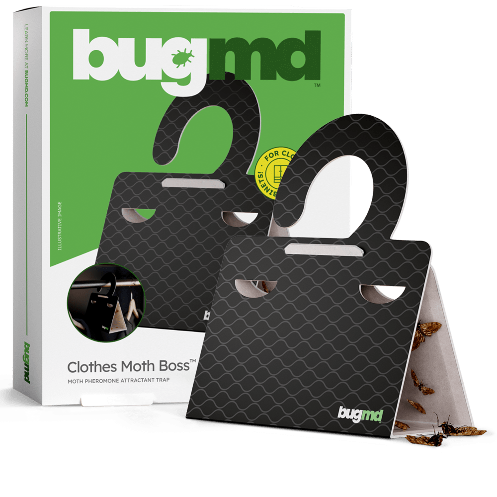 BugMD Clothes Moth Boss | Pheromone PermaGlue Moth Traps – bugmd
