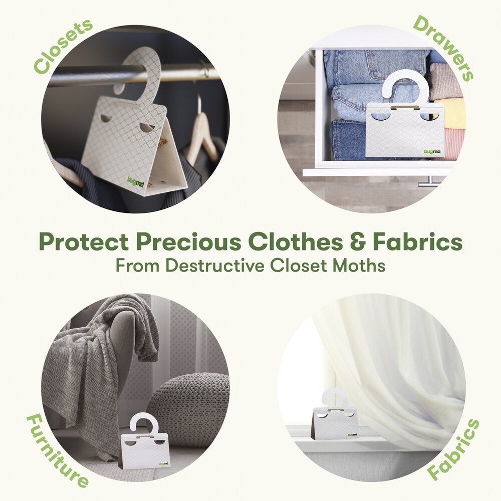 BugMD Clothes Moth Boss | Pheromone PermaGlue Moth Traps – bugmd