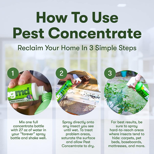 Essential Pest Concentrate – bugmd