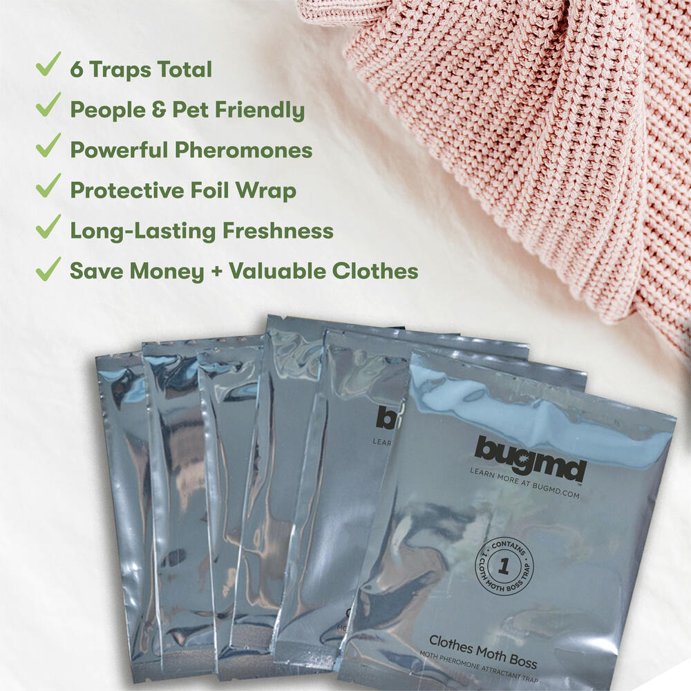 BugMD Clothes Moth Boss | Pheromone PermaGlue Moth Traps – bugmd