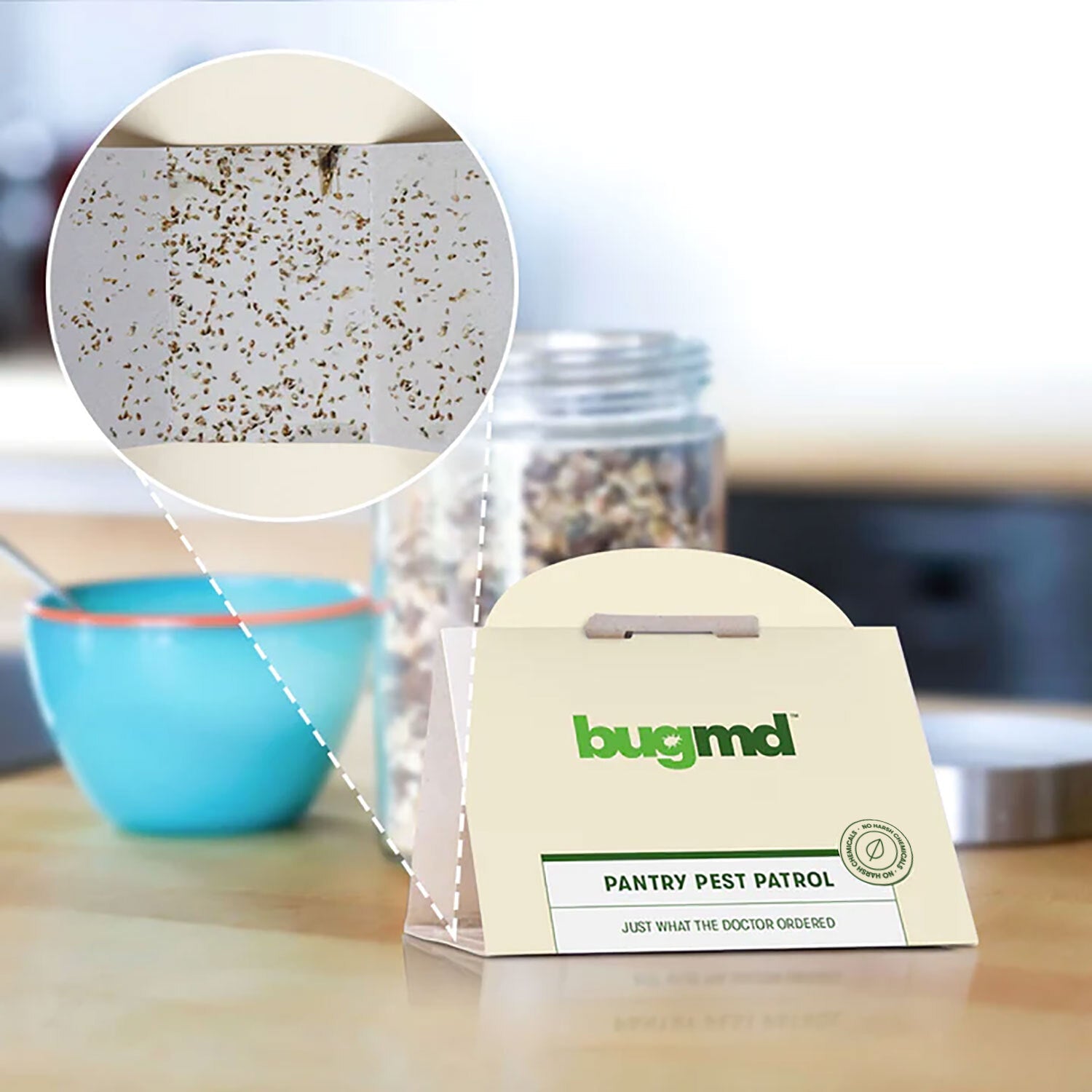 BugMD Pantry Pest Patrol | Pheromone & PermaGlue Moth Traps – bugmd