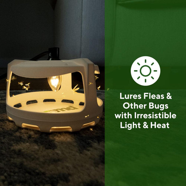 Buy 2 Termination Stations, Get 1 FREE – bugmd