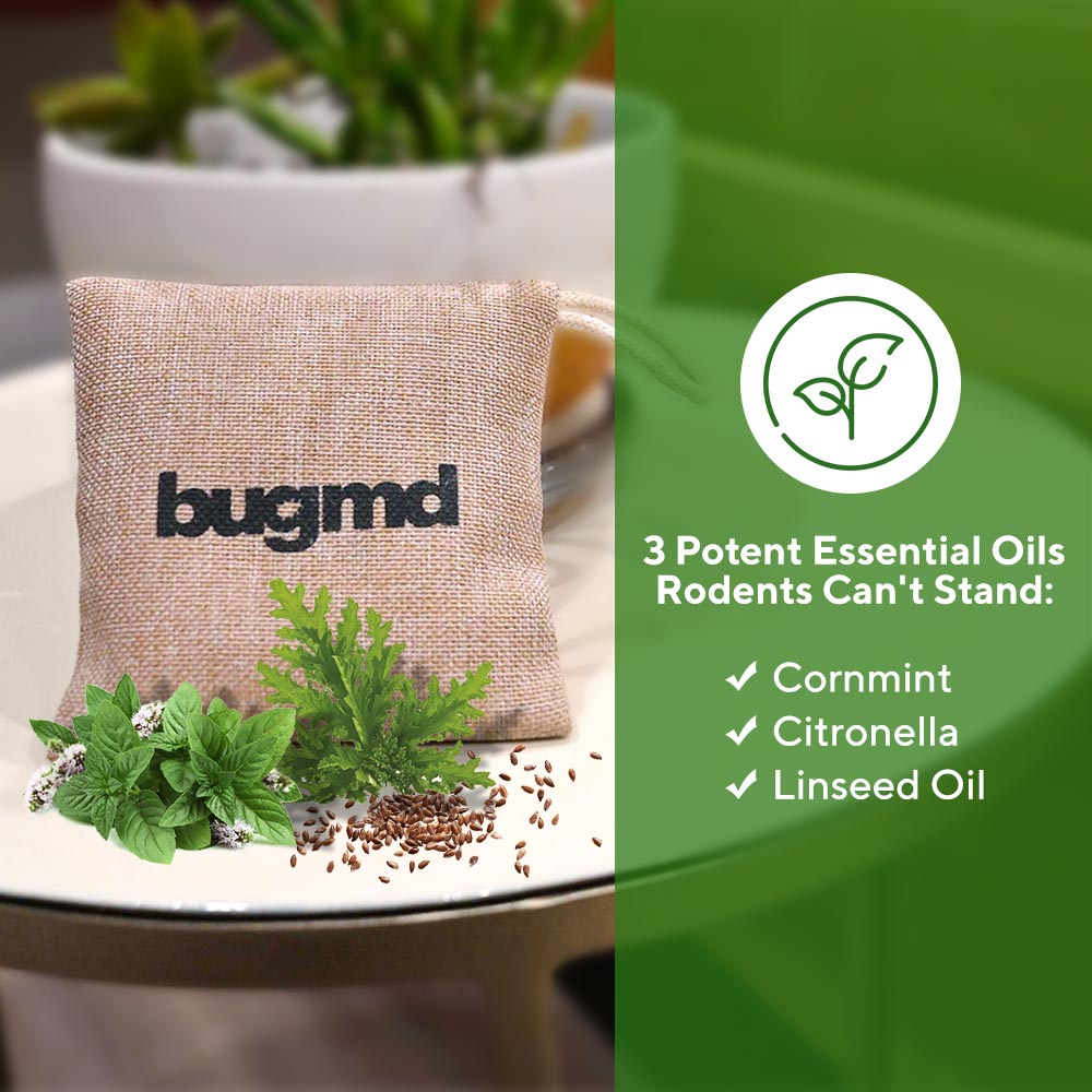 Buy 3 VAMOOSE! Rodent-Repelling Pouches, Get 3 FREE – bugmd